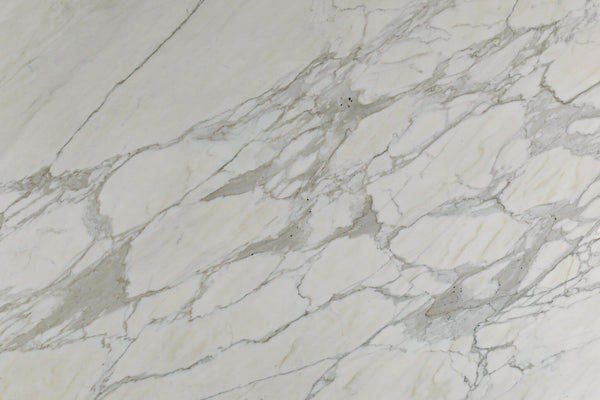 Calacatta Vision Marble Honed 12x24 - Mission Stone & Tile